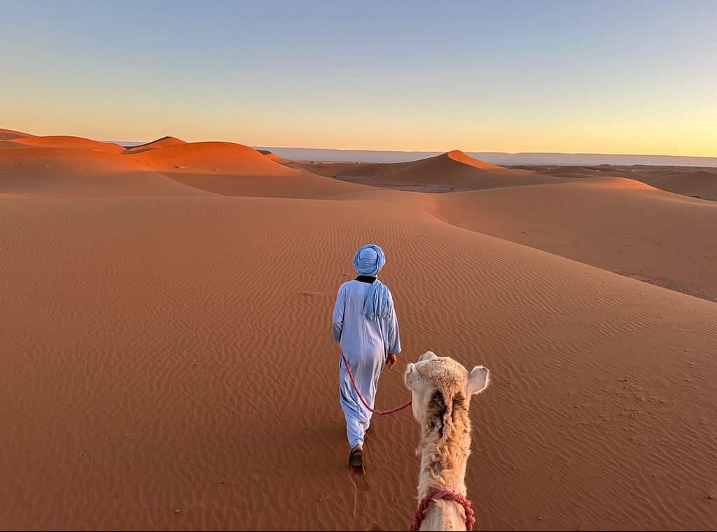 M'hamid el Ghizlane 2-day desert tour from Marrakech