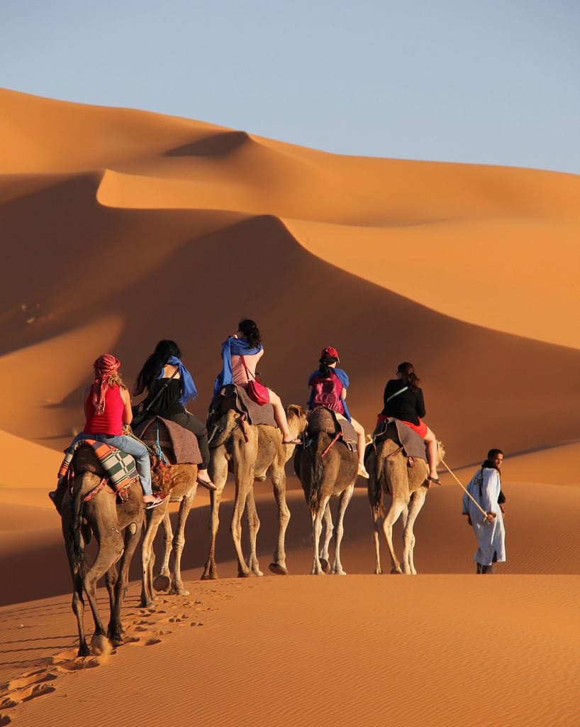 Overnight in Merzouga Camel Trek - Erg Chebbi